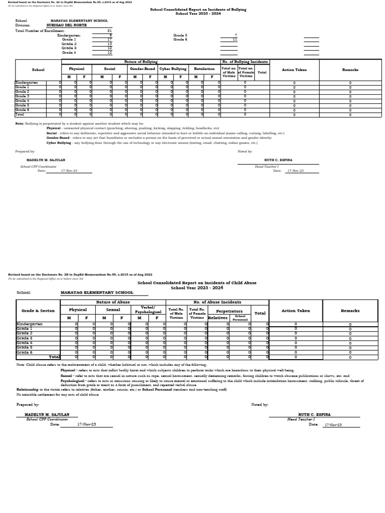 Marayag Es Mainit I CPP Report | PDF | Crime & Violence | Justice