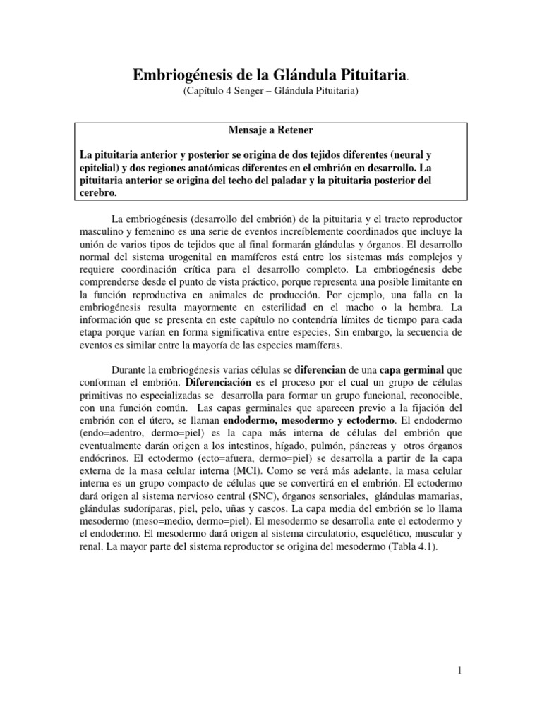 U1 Embriogenesi Glandula Pituitaria 12 Pdf Glándula Pituitaria