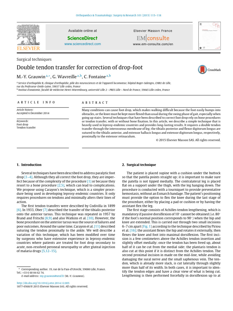 Double Tendon Transfer For Correction 2015 Orthopaedics Traumatology ...