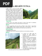 Qué Es La Región Yunga | PDF | Clima | Geografía Física