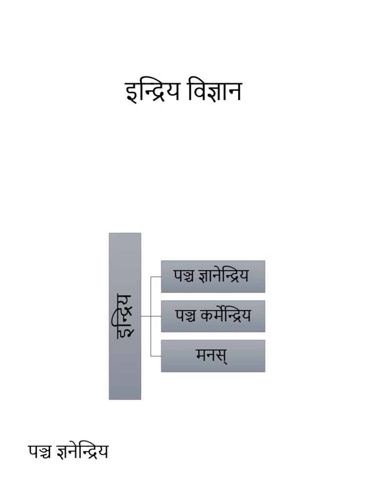 Indriya 1 | PDF | Human Eye | Visual Perception