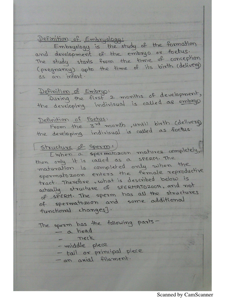 Embryology Handwritten Notes | PDF