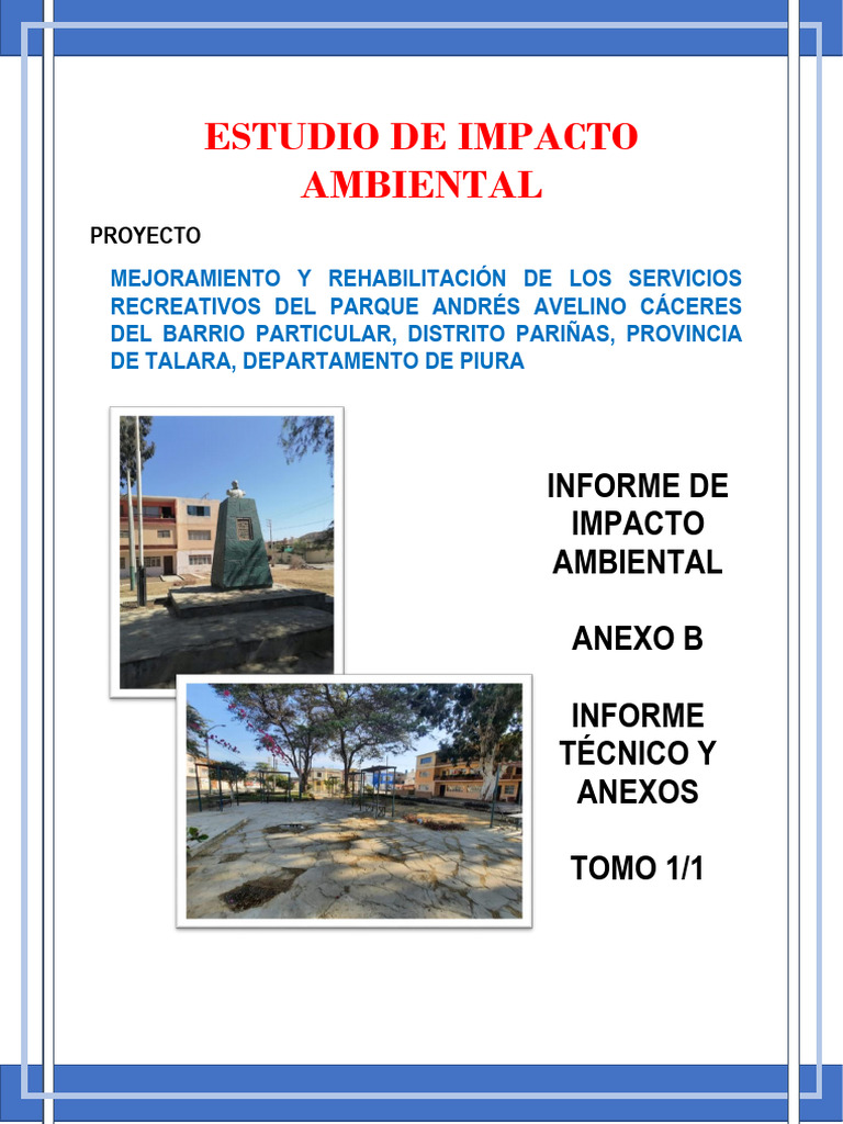 13.5.- Informe de de Impacto Ambiental | PDF | Evaluación de impacto ...