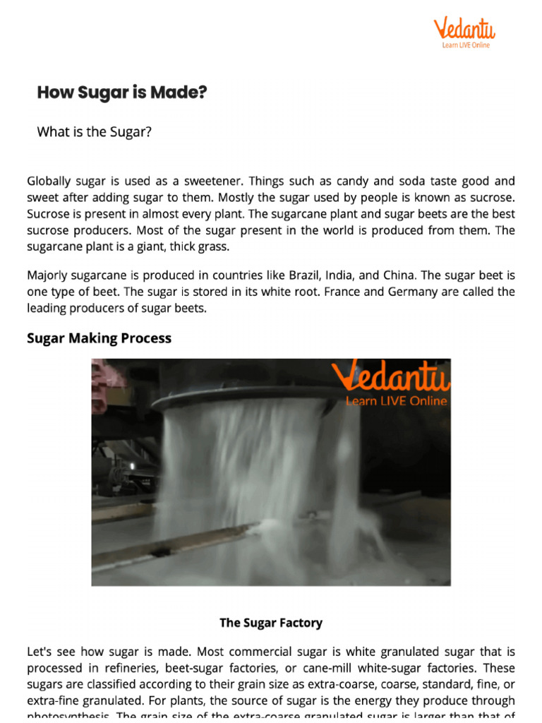 How Sugar Is Made | PDF