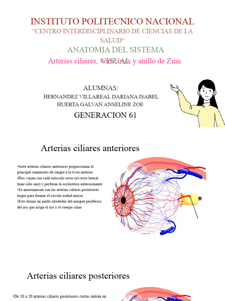 Anatomía del Anillo de Zinn y Arterias Ciliares | PDF | Anatomía ...