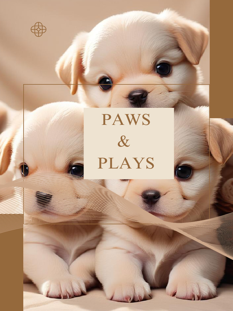 Paws and Plays - POB May Assessment | PDF | Child Care | Pet