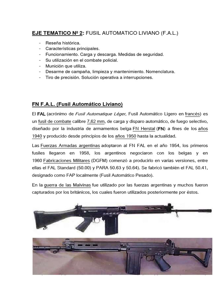 Eje N2 Fal | PDF | Rifle | Vuelo