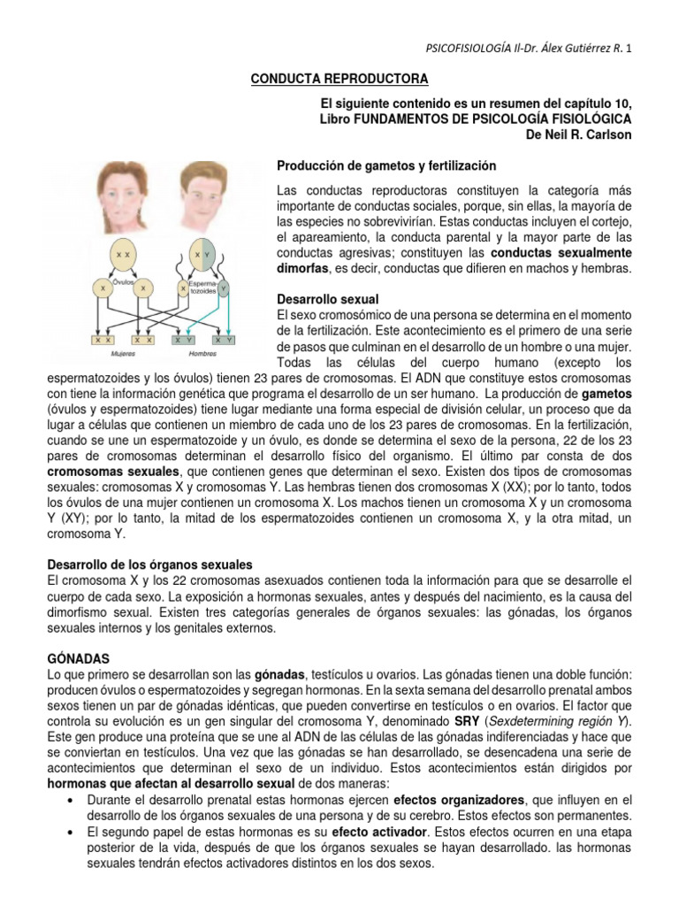 TEMA 1_CONDUCTA REPRODUCTORA | Descargar gratis PDF | Sexo | Andrógino