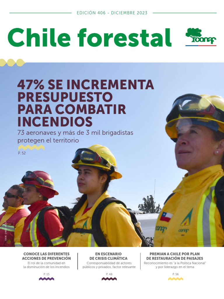 CHIFOR-406 Diciembre 2023 Ok Compressed | PDF | Inteligencia artificial ...