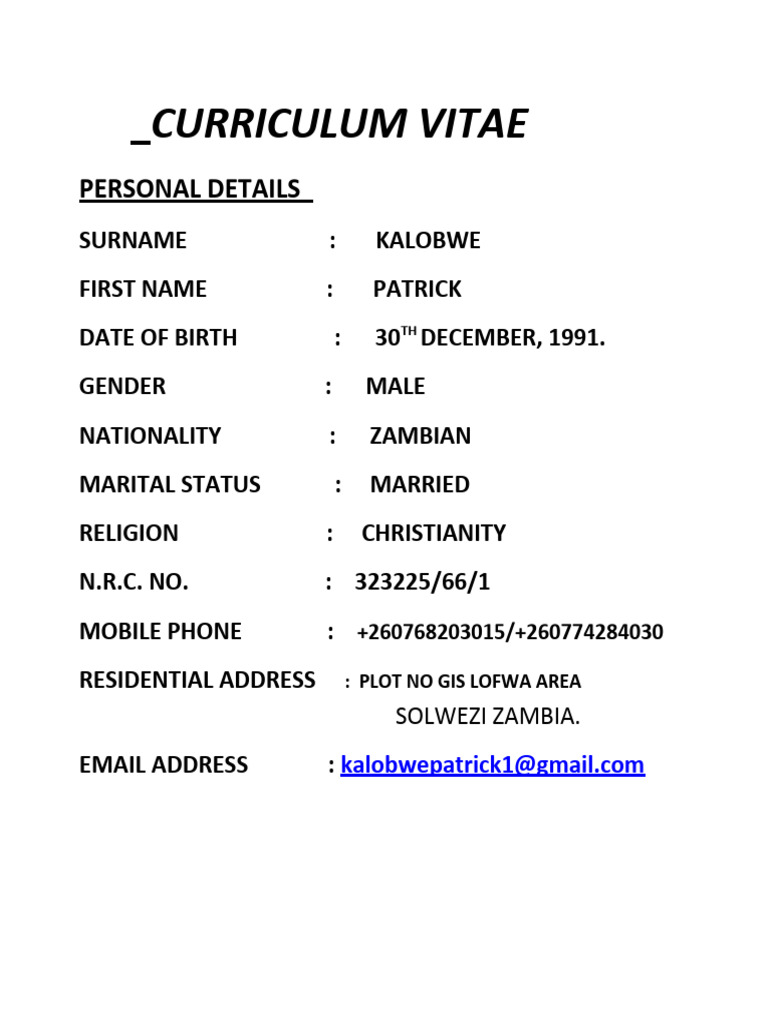 Patrick Curriculum Vitae. 2024 | PDF | Loader (Equipment) | Engines