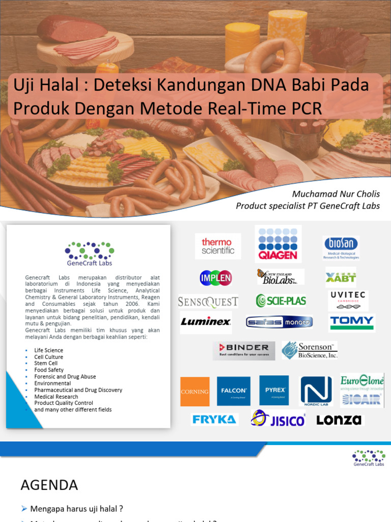 Uji Halal DNA Babi dengan Real-Time PCR | PDF