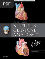 Incisión Rocky Davis | PDF | Medicina CLINICA | Anatomía