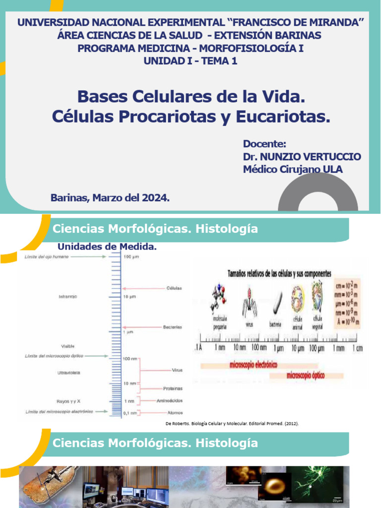 Clase 2 Unidad 1 Morfo 1 (Autoguardado) | PDF | Biomoléculas | Biología Celular)