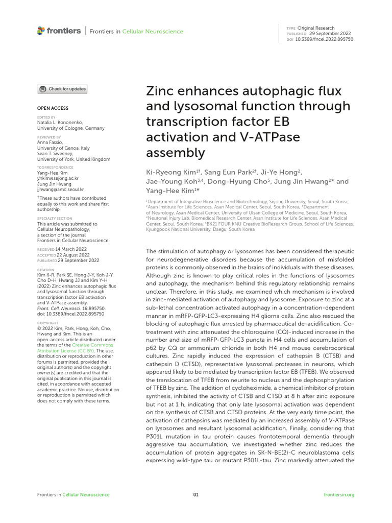 Zinc Enhances Autophagic Flux and Lysosomal Function | PDF | Autophagy ...
