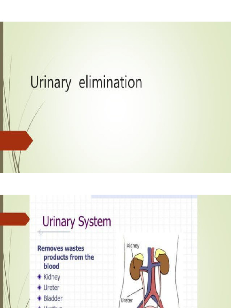 Urinary Elimination | PDF