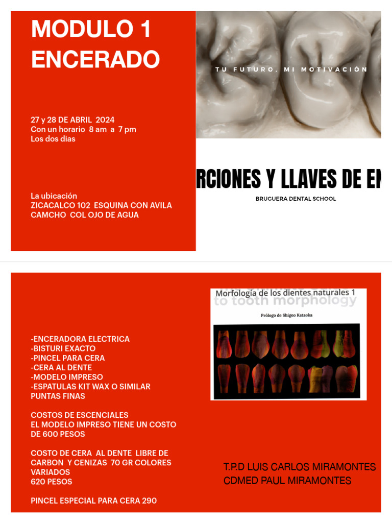 Taller de Encerado Dental 2024 | PDF