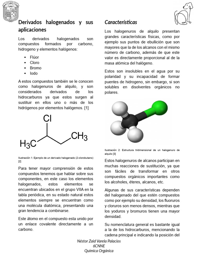 Derivados Halogenados: Usos y Características | PDF | Compuestos ...