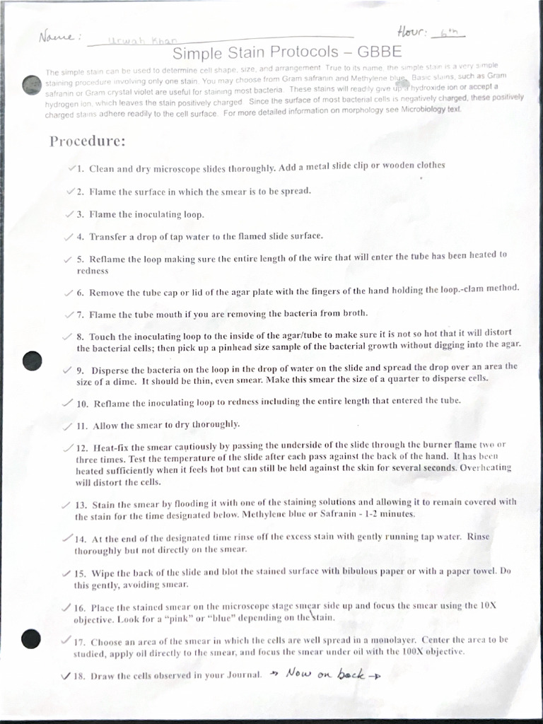 Simple Stain Protocols - Gbbe | PDF