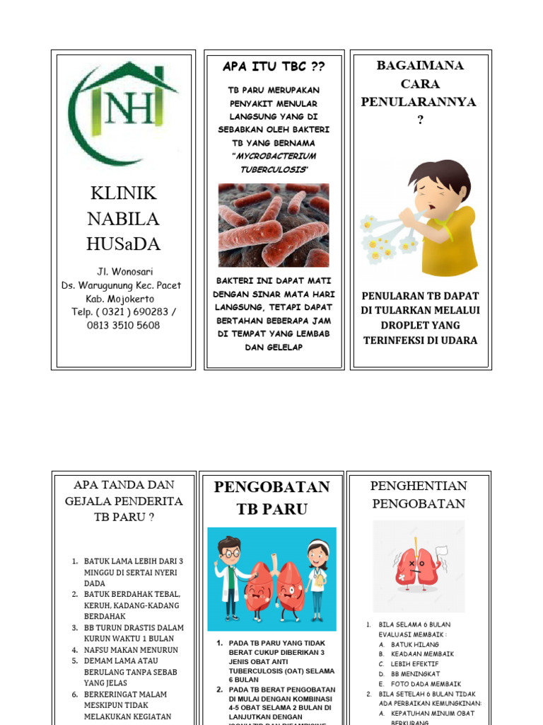 Leaflet TB Paru | PDF