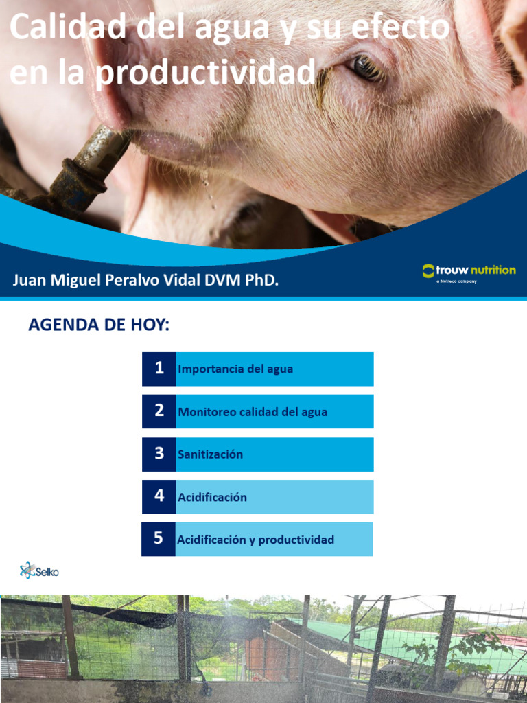 Consideraciones Prácticas de Calidad Del Agua y Su Efecto en La ...