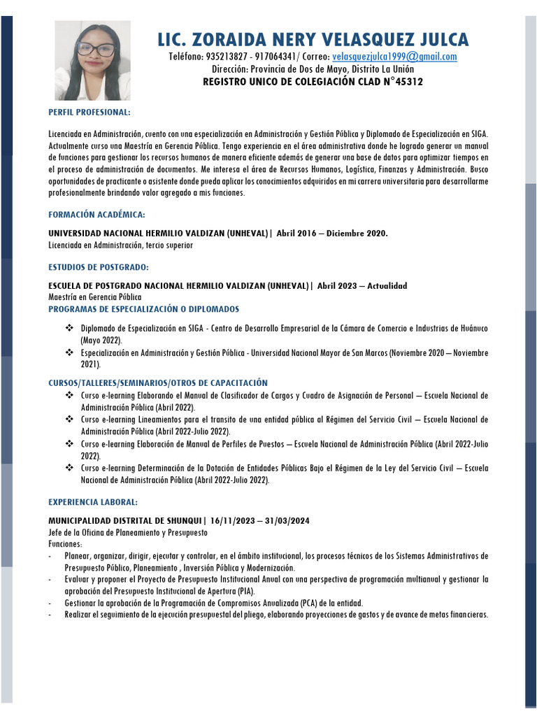 72966821-Velasquez Julca Zoraida Nery CV Actualizado | Descargar gratis PDF | Presupuesto ...