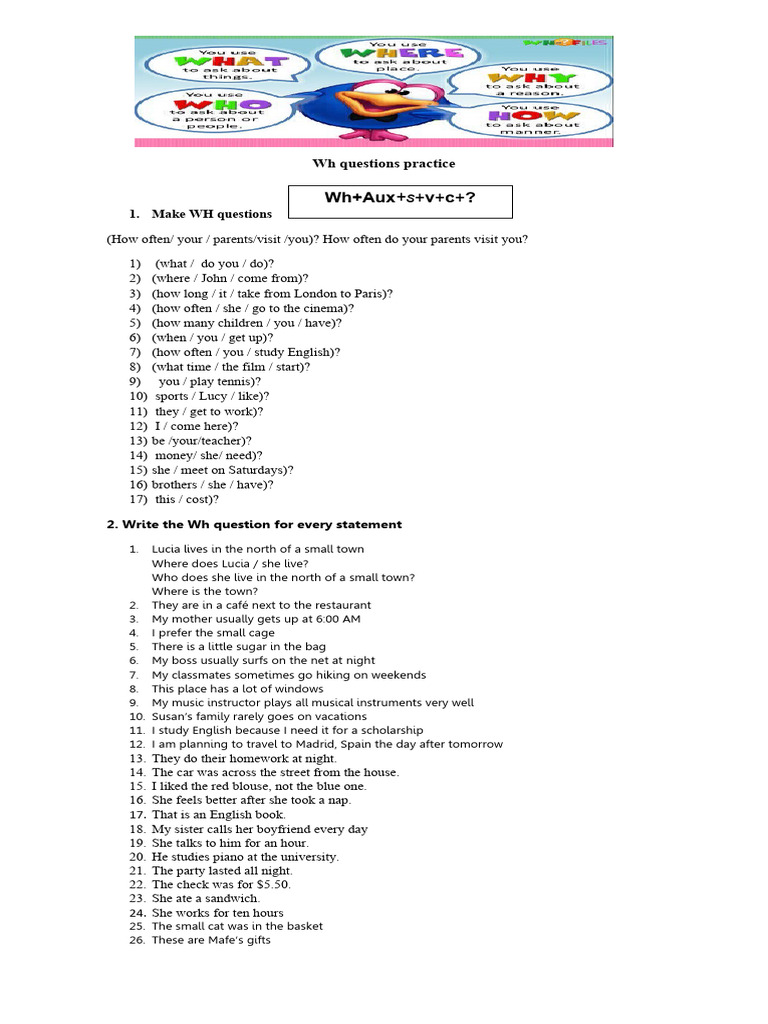 Wh Questions Practice | PDF