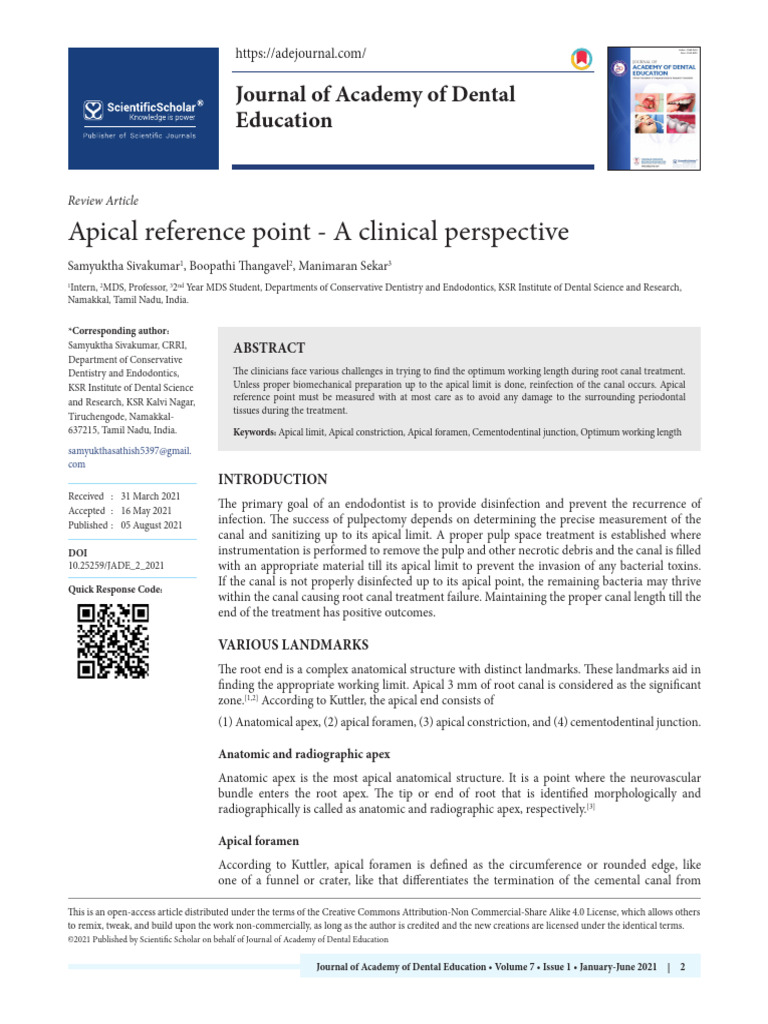 Apical Reference Point – A Clinical Perspective | PDF | Mouth | Tooth