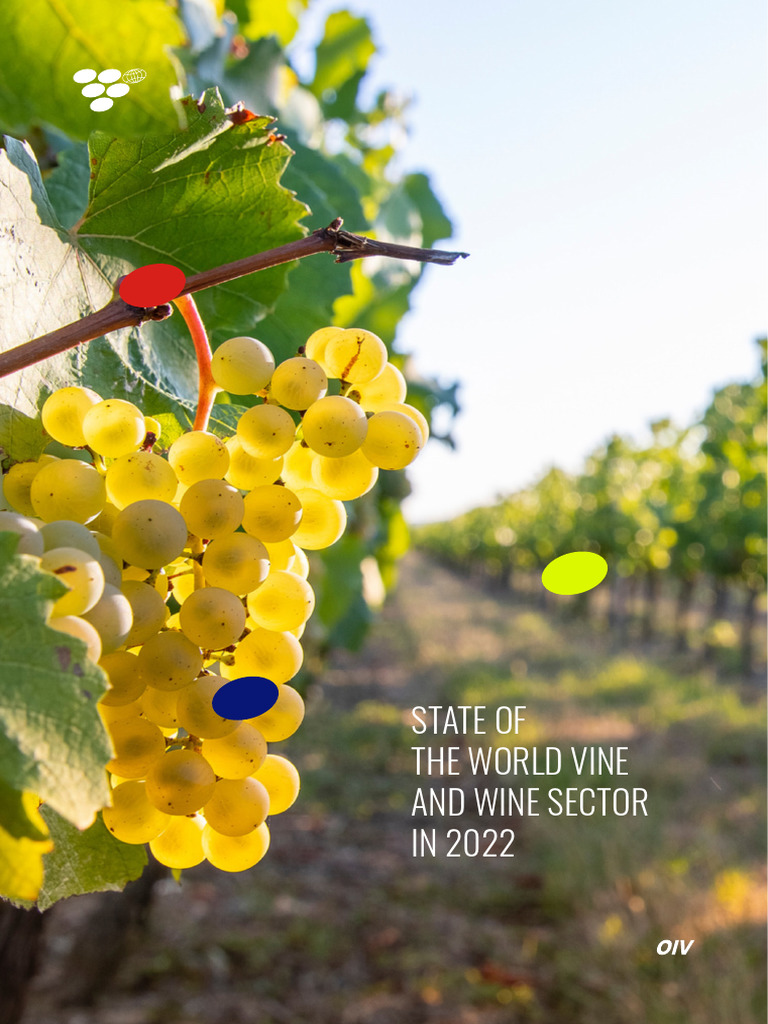 OIV State of The World Vine and Wine Sector in 2022 2 | PDF | Vineyard | Wine