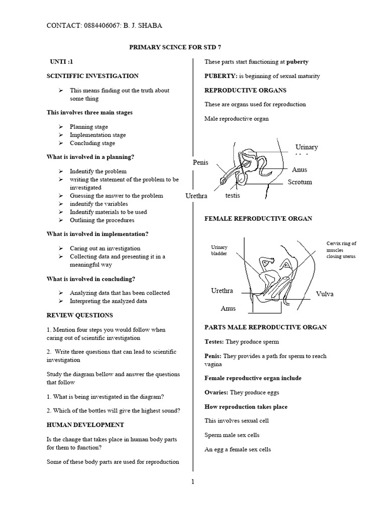 Primary Scince For STD 7 | PDF | Flowers | Pollination Primary Scince For STD 7 | PDF | Flowers | Pollination