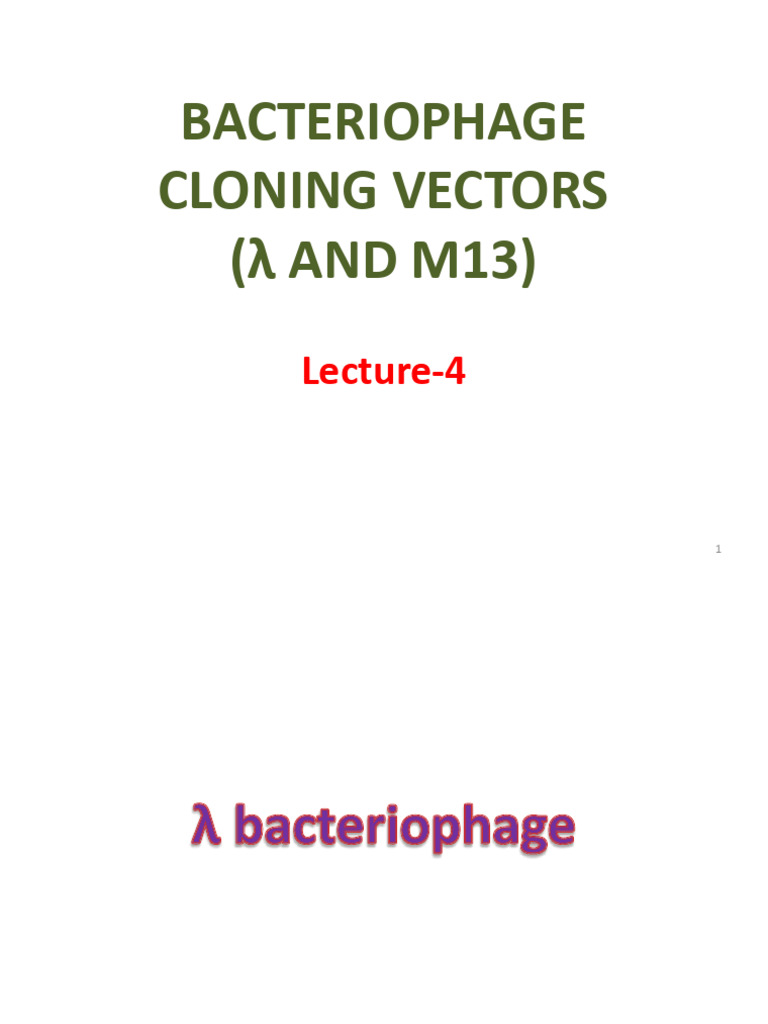 Bacteriophage Lambda and M13 Vectors | PDF | Vector (Molecular Biology) | Molecular Cloning