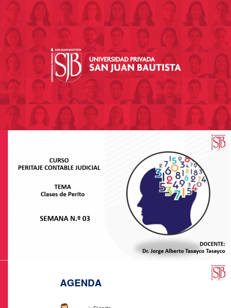 Clases y Tipos de Peritos Judiciales | PDF | Testigo experto | Contador