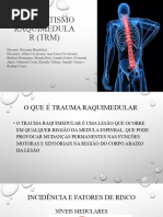 A Escala ASIA para Lesão Medular - o Guia Do Fisioterapeuta | PDF ...
