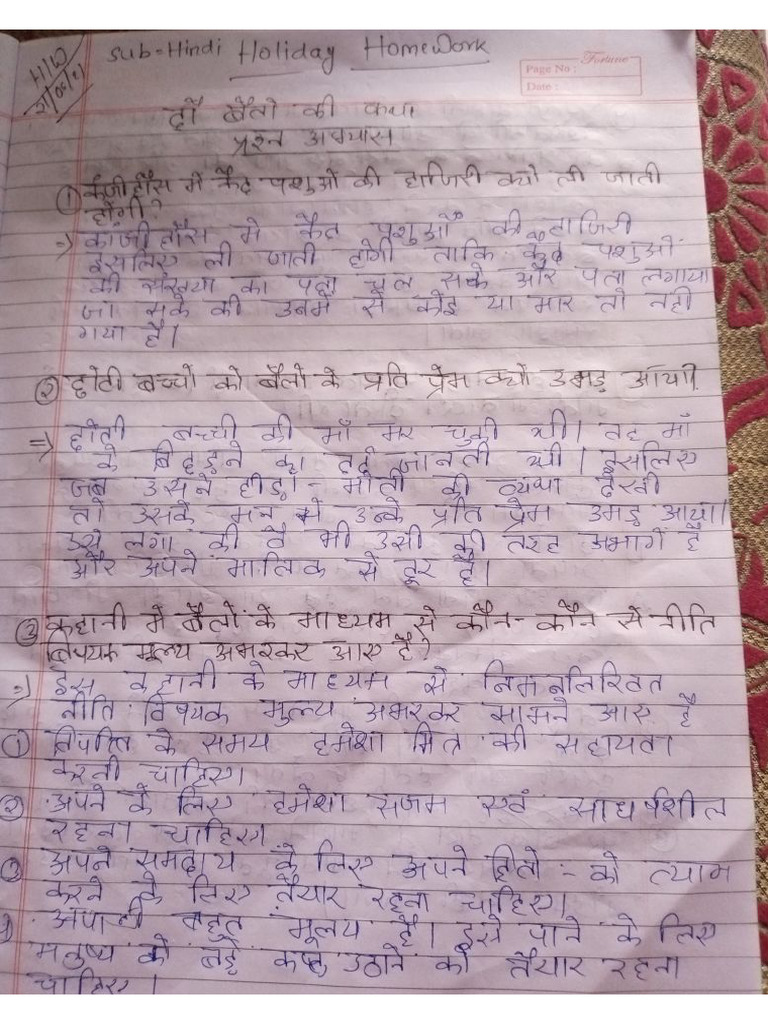 Hindi Holiday Homework | PDF