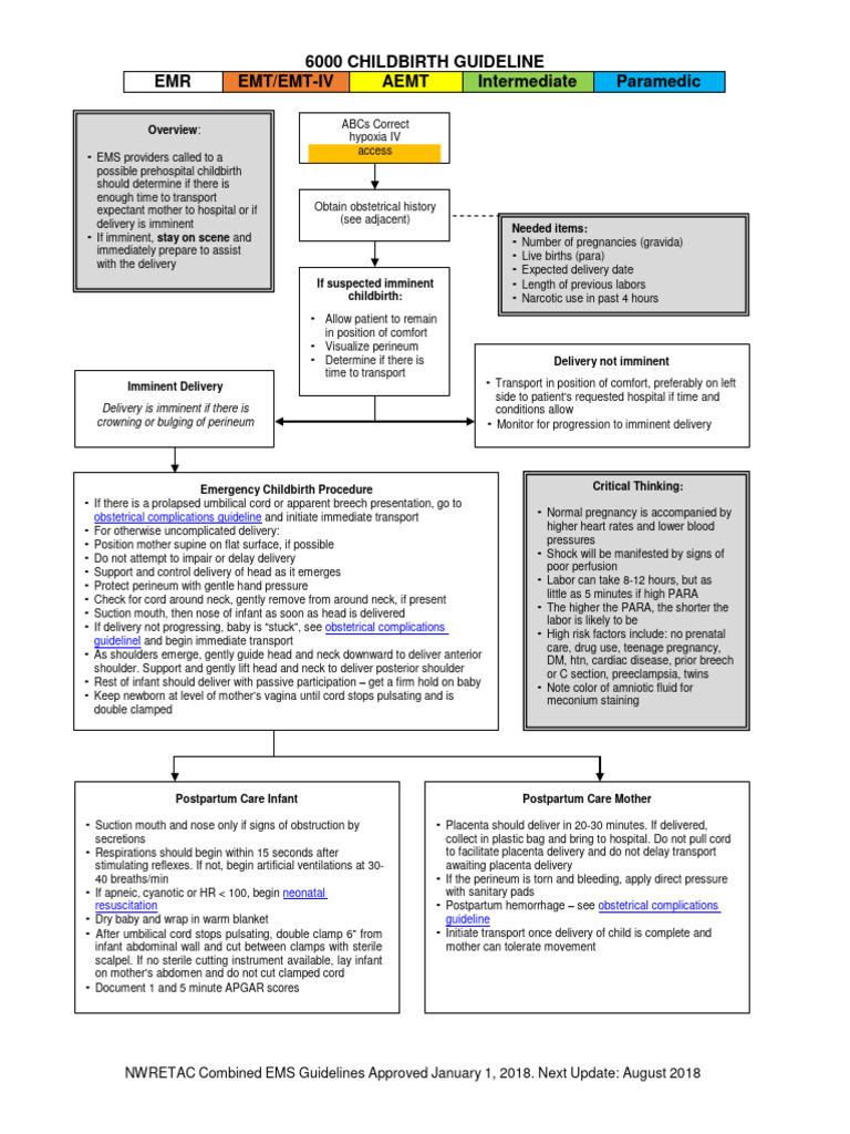 6000 Childbirth Protocol | Download Free PDF | Childbirth | Emergency ...