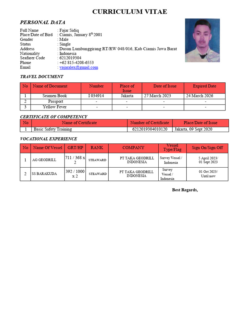 Cv Steward Fajar Sidiq Pdf