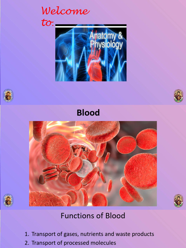 Blood Components | PDF | Blood Type | White Blood Cell