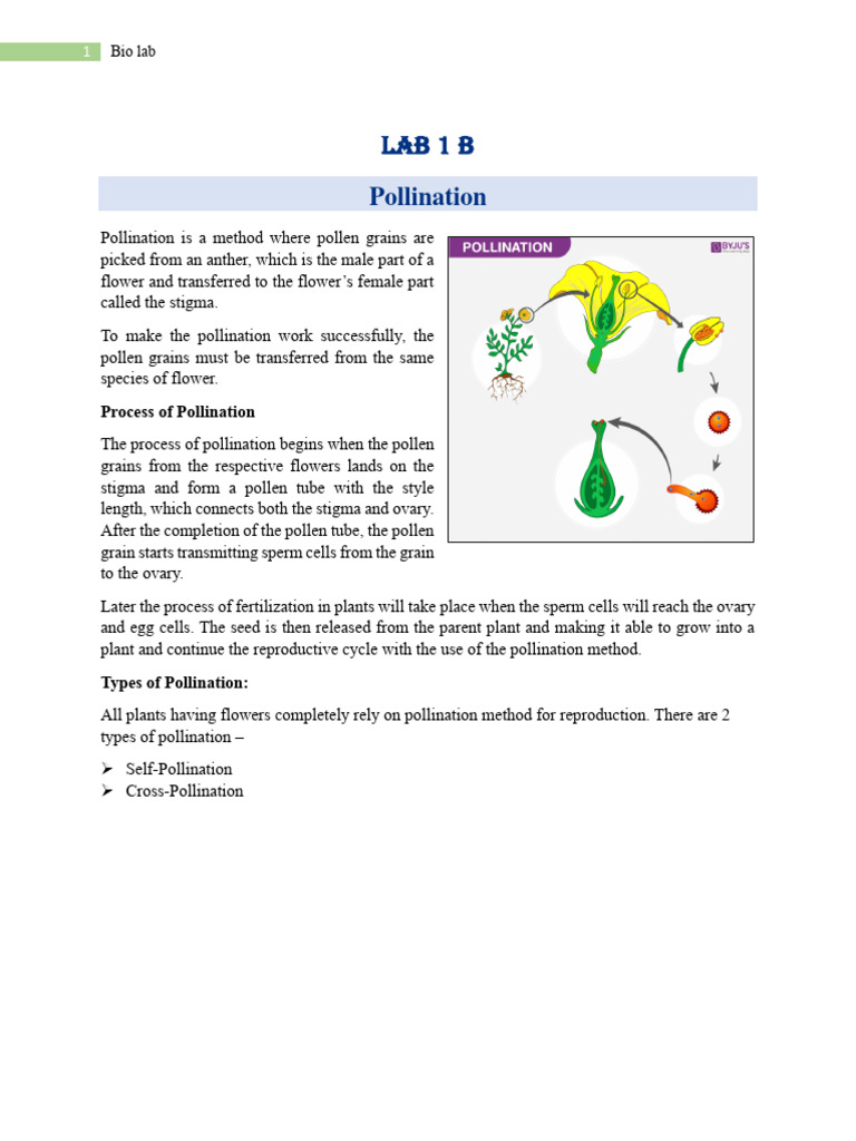 Lab 1 B | PDF