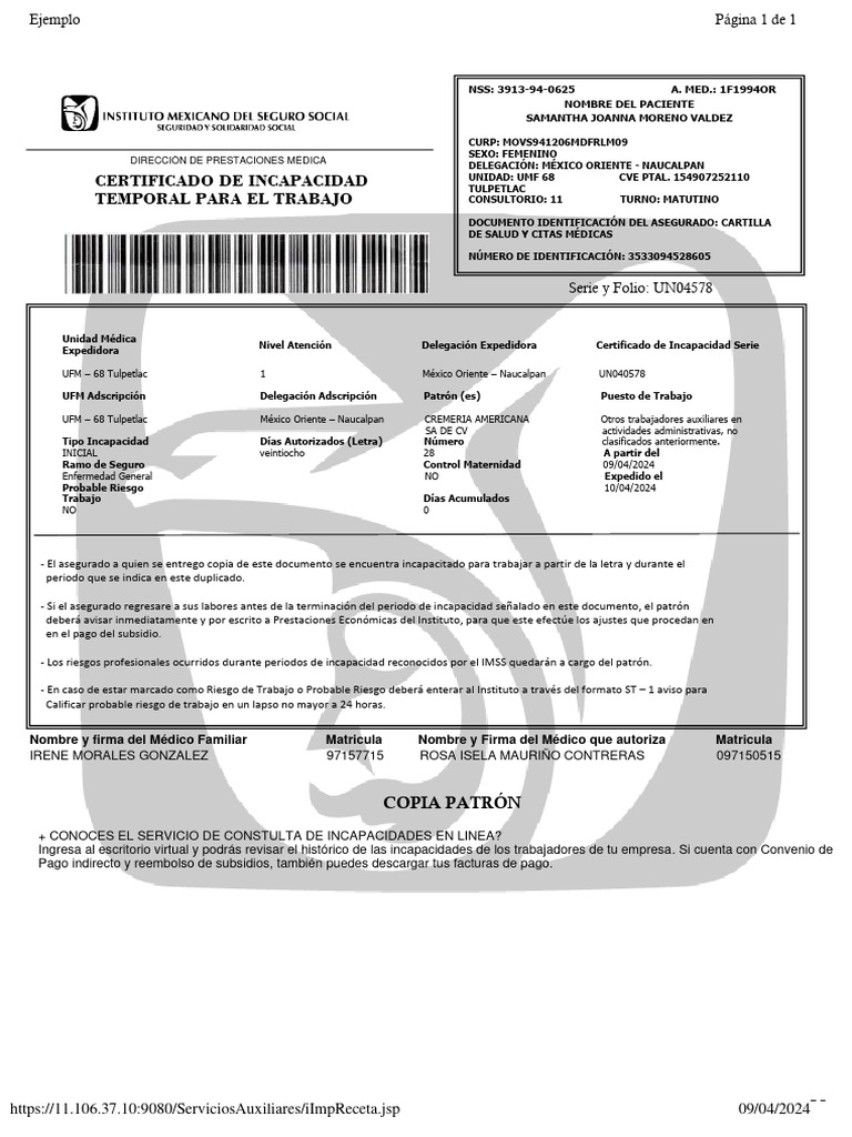 Receta Médica IMSS: Ejemplo y Proceso | PDF