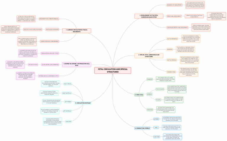 FETAL CIRCULATION AND SPECIAL STRUCTURES | PDF