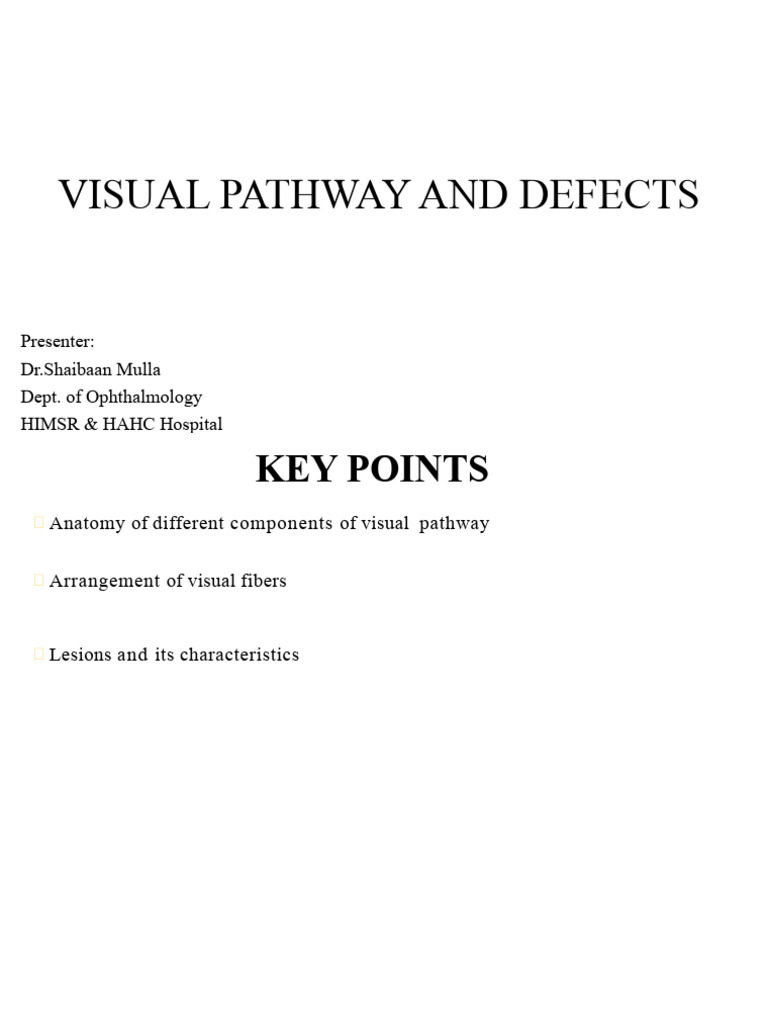 Visual Pathway and Defects | PDF | Visual System | Retina