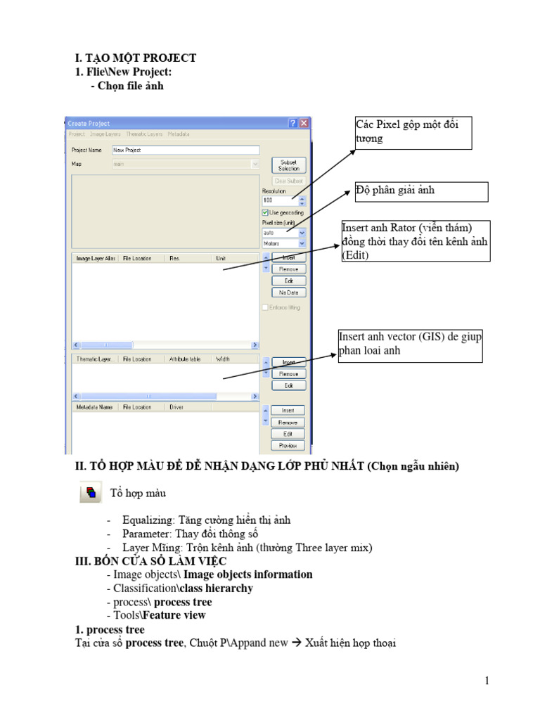 GDSD Ecognition-TAM | PDF