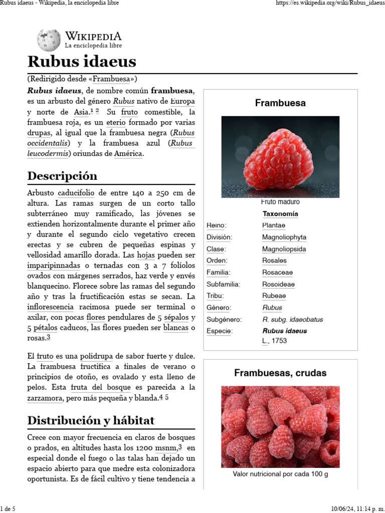 Rubus Idaeus - Wikipedia, La Enciclopedia Libre | Descargar gratis PDF | Morfología Vegetal ...