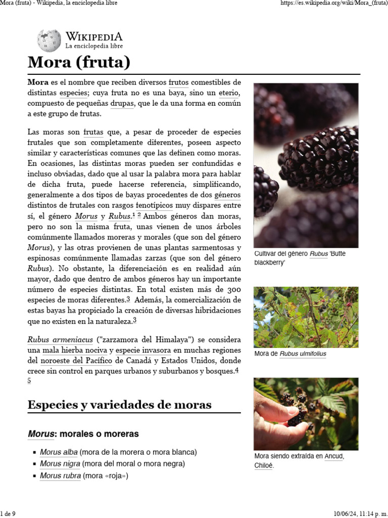 Mora (Fruta) - Wikipedia, La Enciclopedia Libre | PDF | Frutas ...