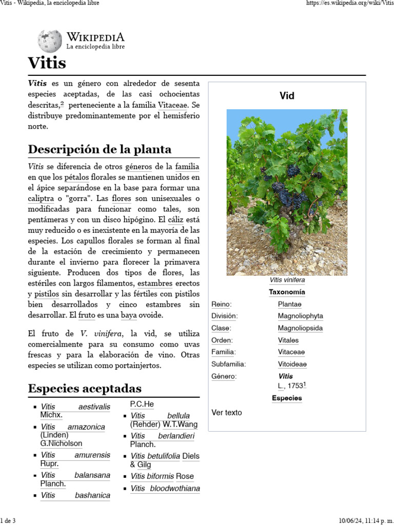 Vitis - Wikipedia, La Enciclopedia Libre | PDF | Vitis | Horticultura