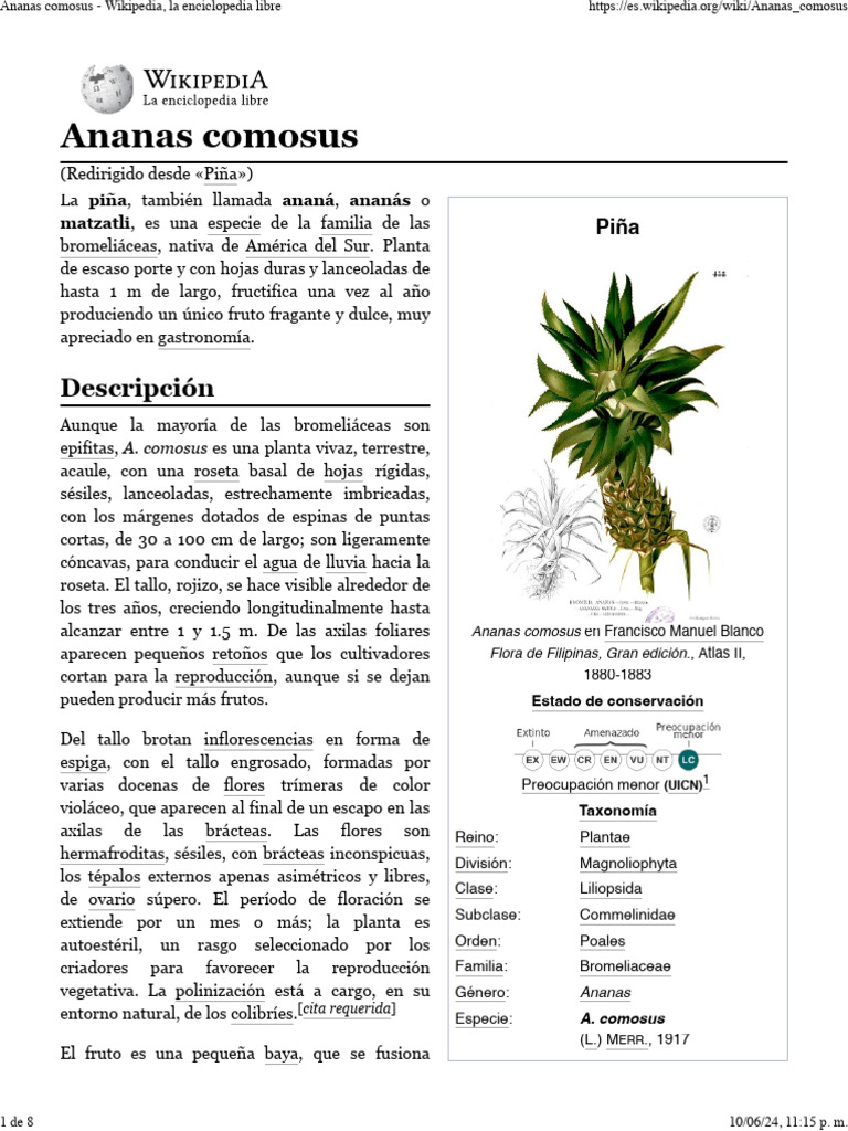 Ananas Comosus - Wikipedia, La Enciclopedia Libre | PDF | Piña