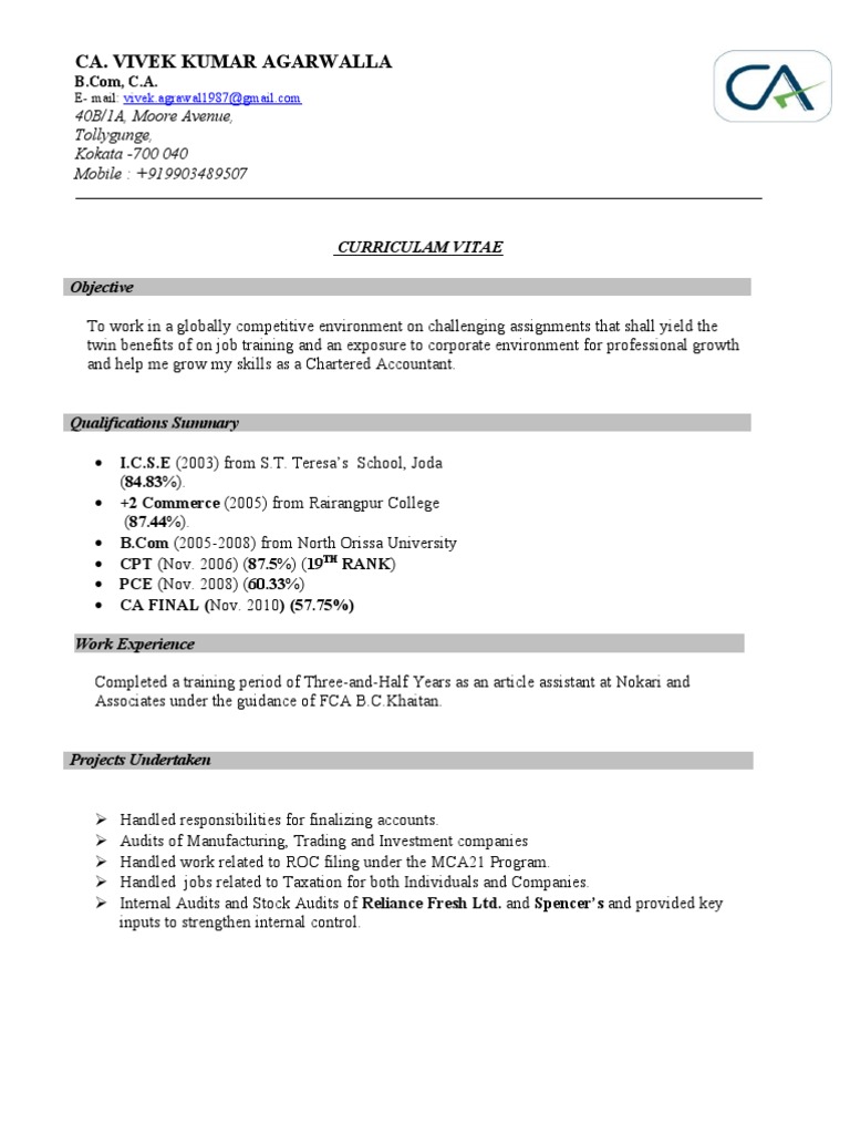 Vivek CV | PDF | Career & Growth