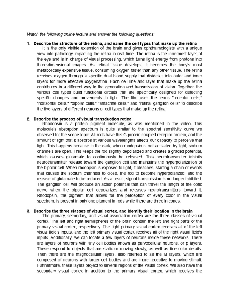 CHAPTER 6 Activity | PDF | Retina | Visual Cortex
