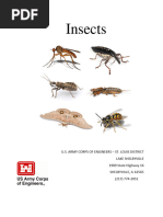 Tagmosis | PDF | Insects | Arthropodology