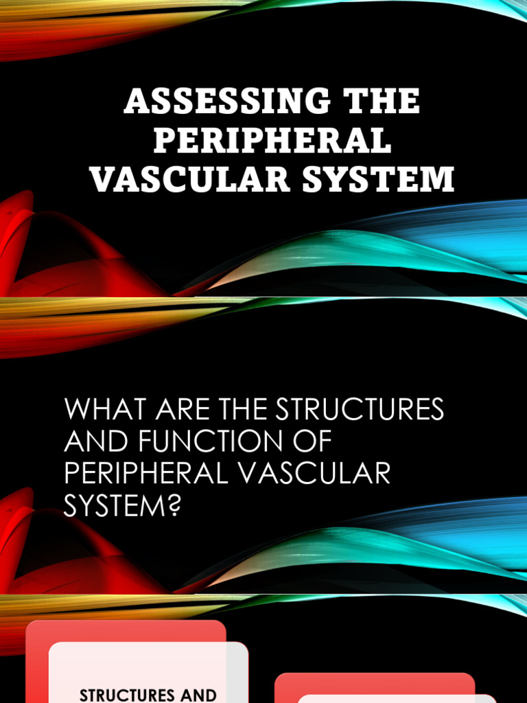 Peripheral Vascular System Copy For Students | PDF | Vein | Pulse