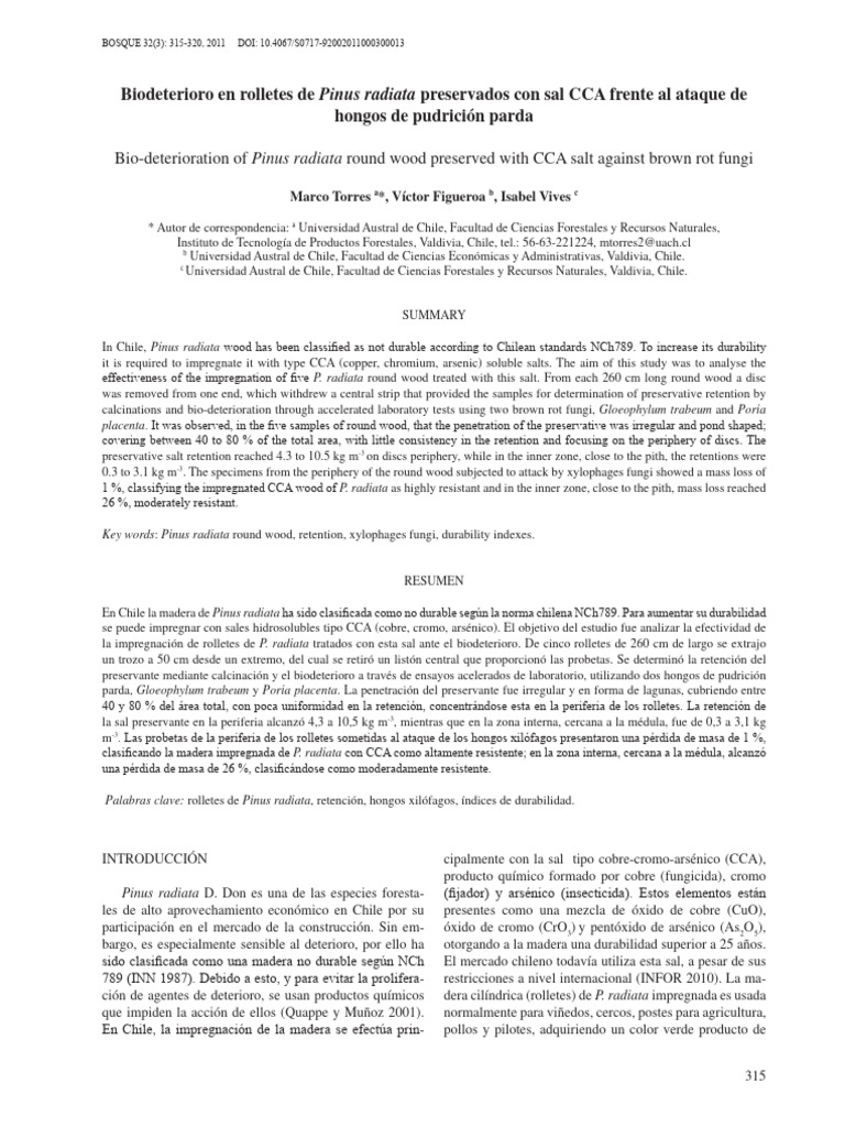 Biodeterioro en Rolletes de Pinus Radiata Preservados Con Sal CCA ...